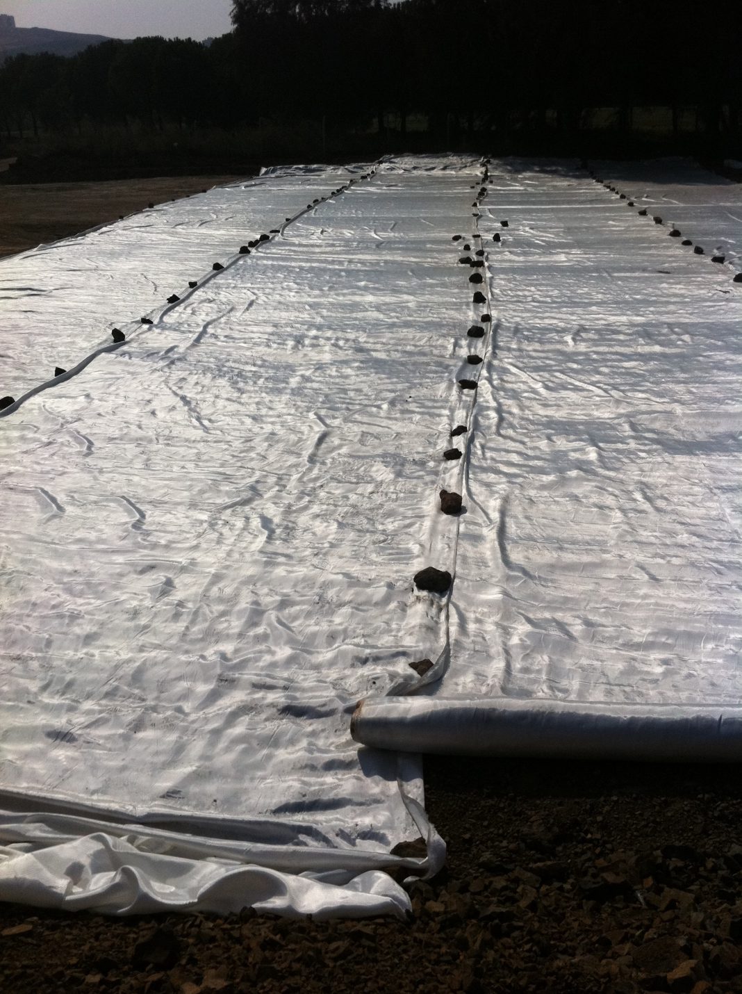 Kolin İnşaat, Menemen Yolu'ndaki Zayıf Zeminleri İstanbul Teknik'in ...